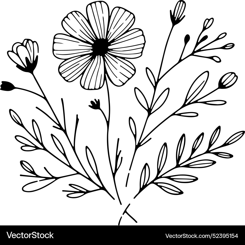 Flower line art Royalty Free Vector Image - VectorStock