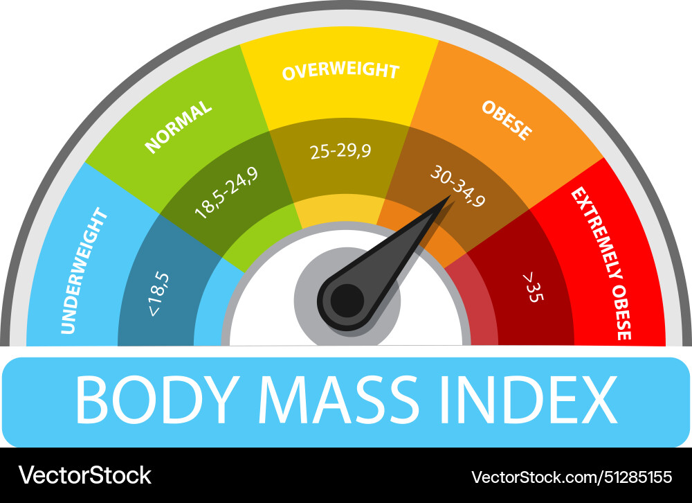 Colorful bmi gauge showing weight categories Vector Image