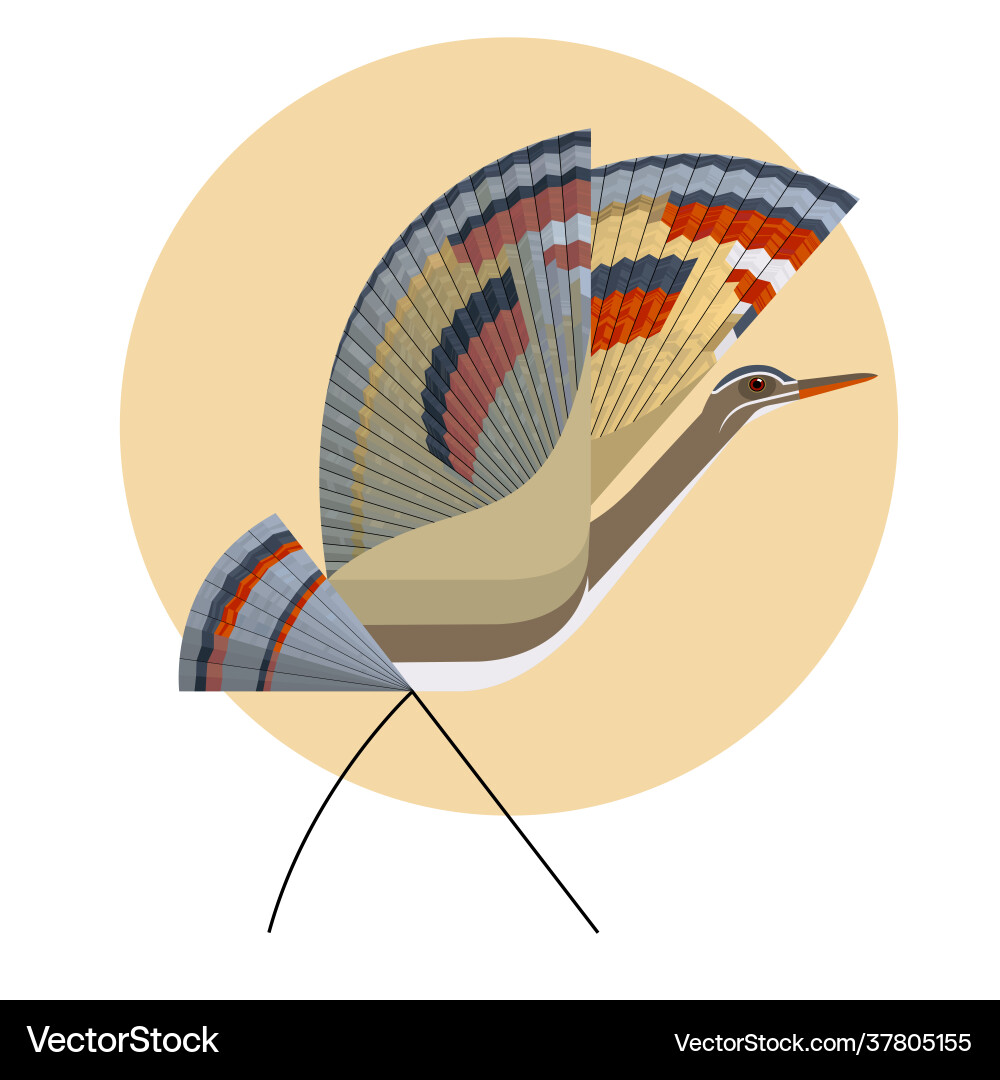 Gorgeous sunbittern Royalty Free Vector Image - VectorStock