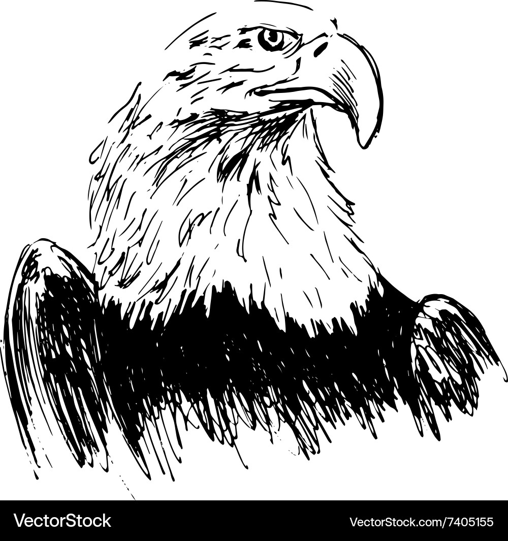 Handzeichnungs-Adler Lizenzfreies Vektorbild
