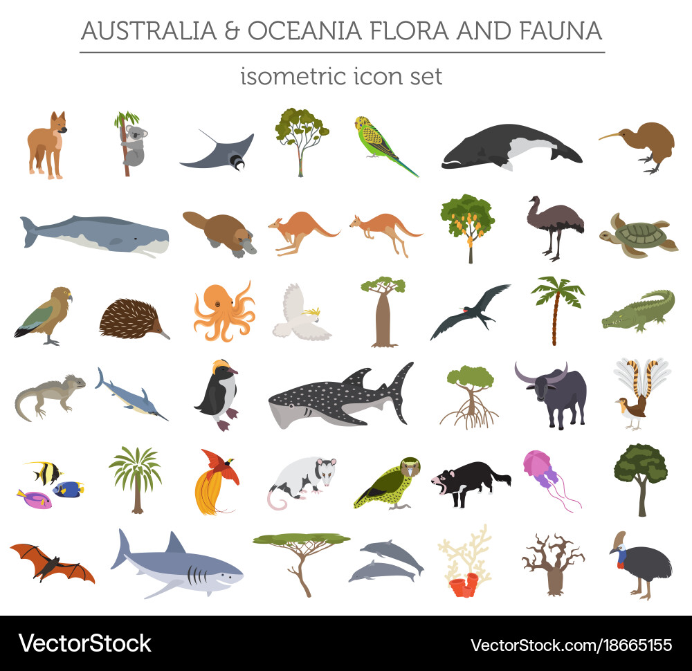 Isometric 3d australia and oceania flora Vector Image