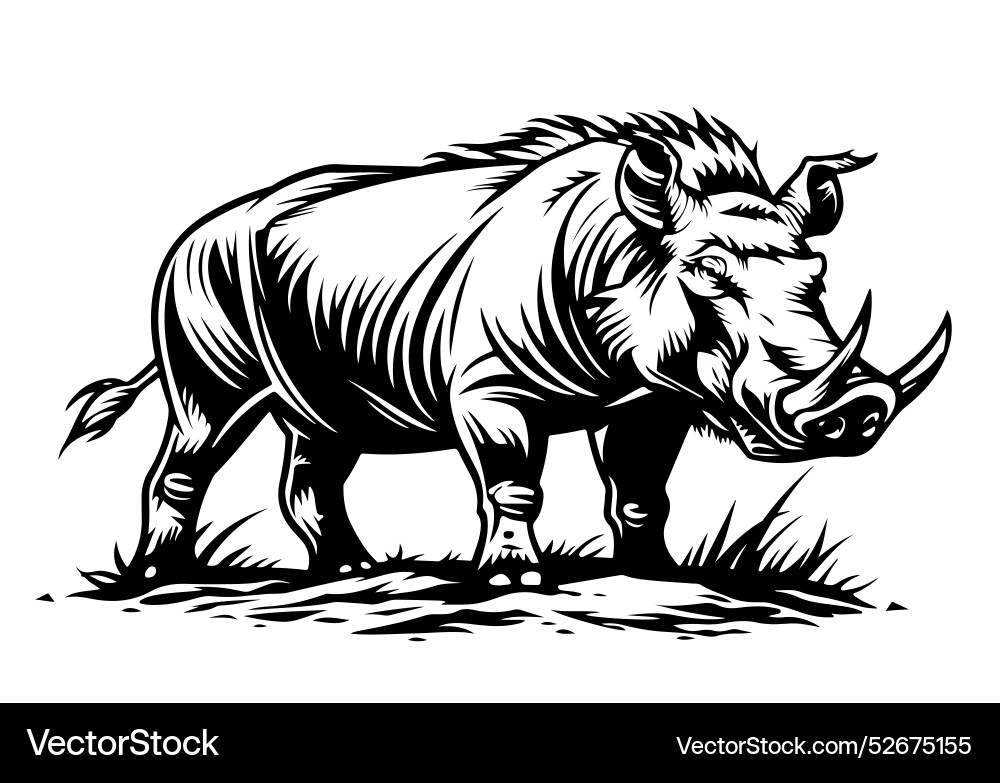 Warthog drawing engraving Royalty Free Vector Image
