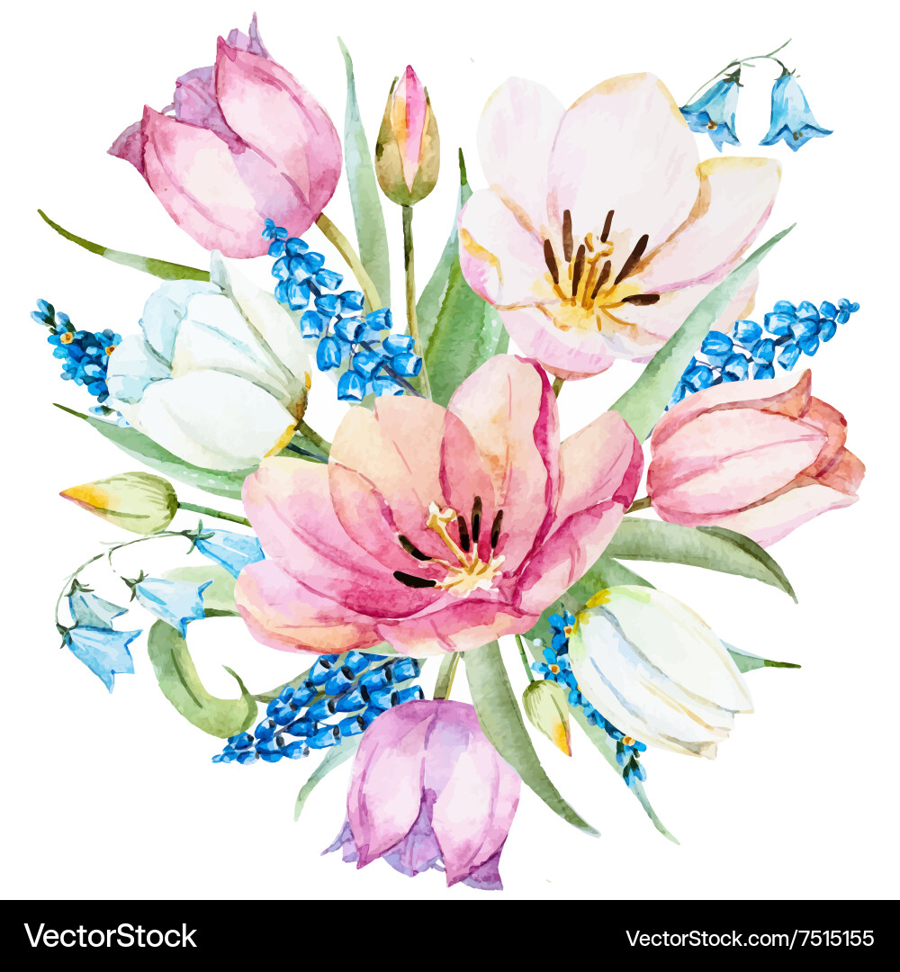 Watercolor spring flowers Royalty Free Vector Image