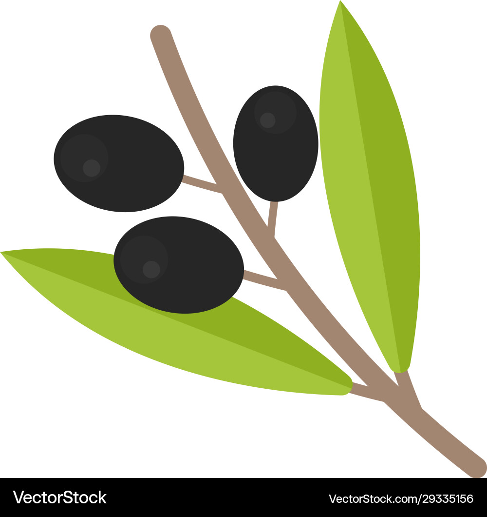 Olive Royalty Free Vector Image - VectorStock