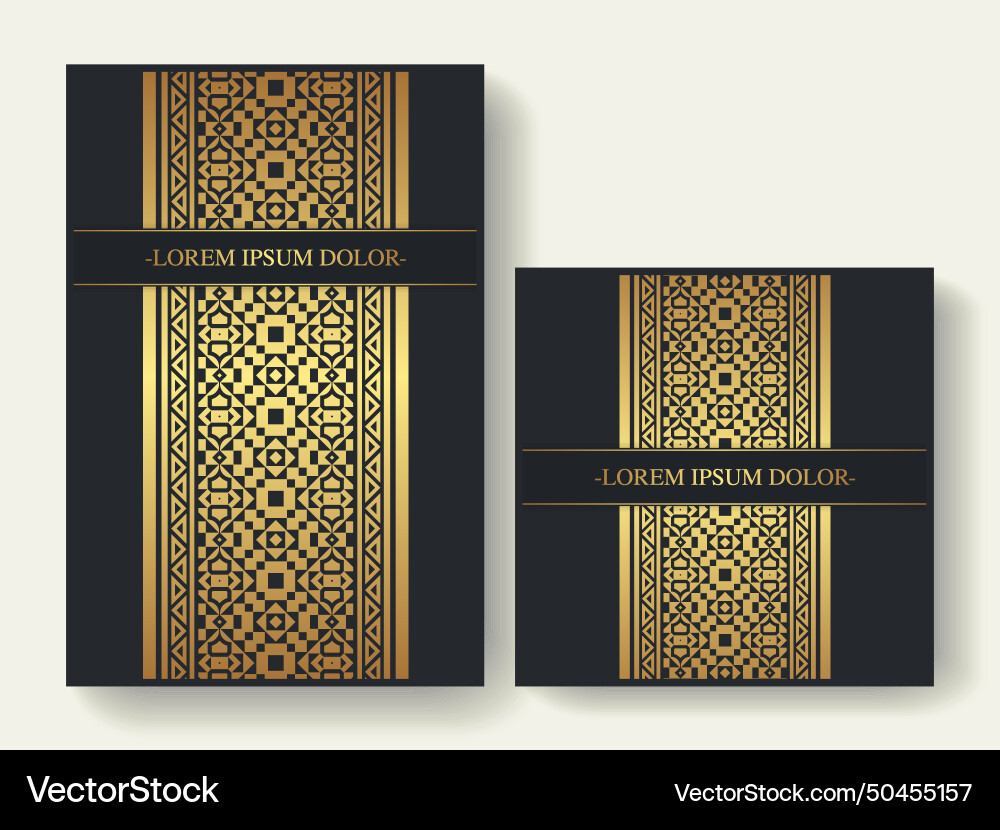 Luxury book cover with ornamental pattern texture Vector Image