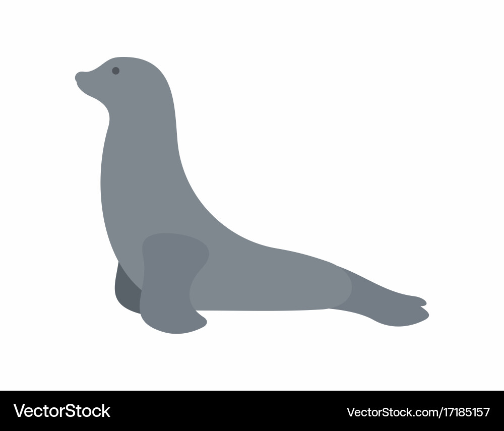 Seal animal Royalty Free Vector Image - VectorStock