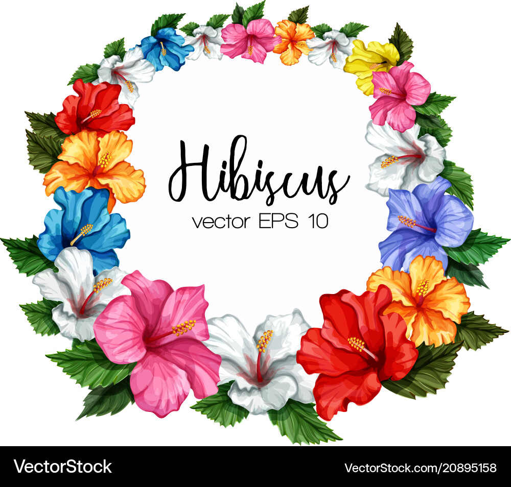 Tropical Hibiscus Flower Frame Royalty Free Vector Image