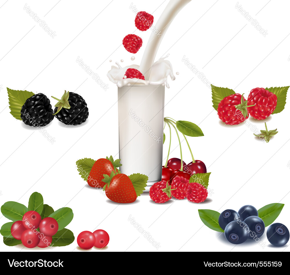 Raspberry and strawberry Royalty Free Vector Image