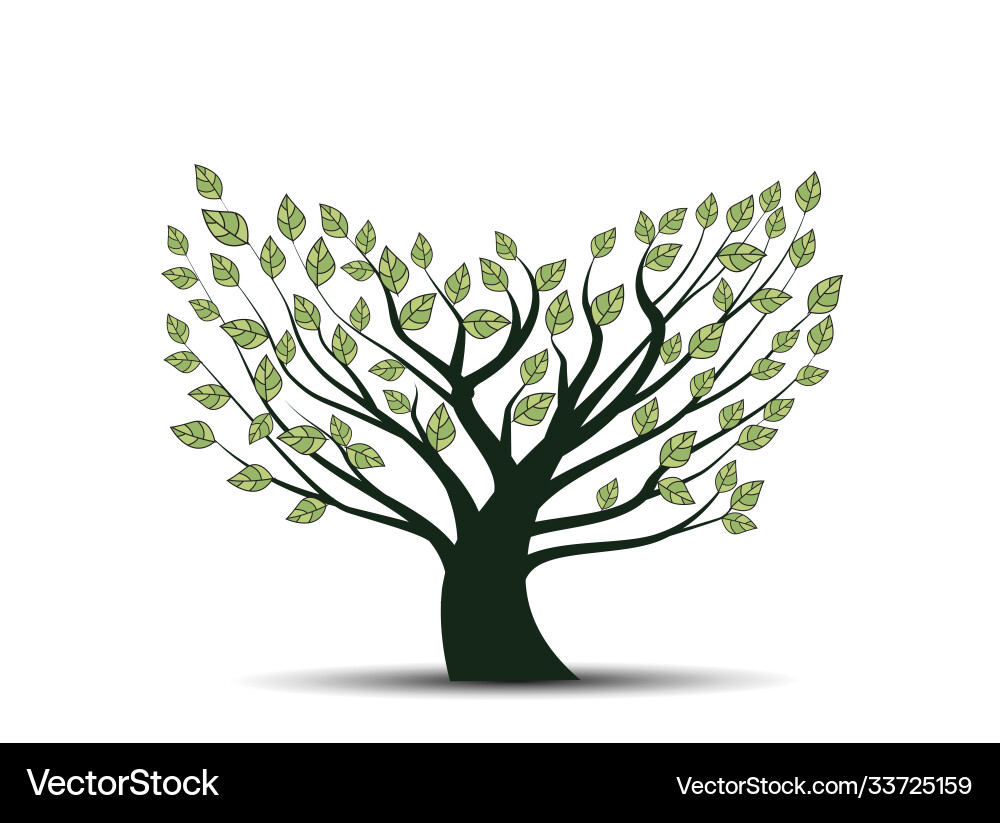 Trees with leaves Royalty Free Vector Image - VectorStock