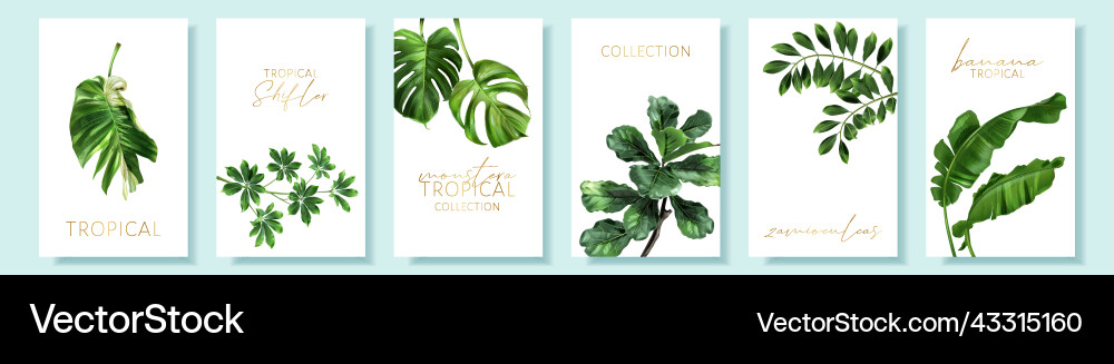 Cards set with green tropical leaves Royalty Free Vector