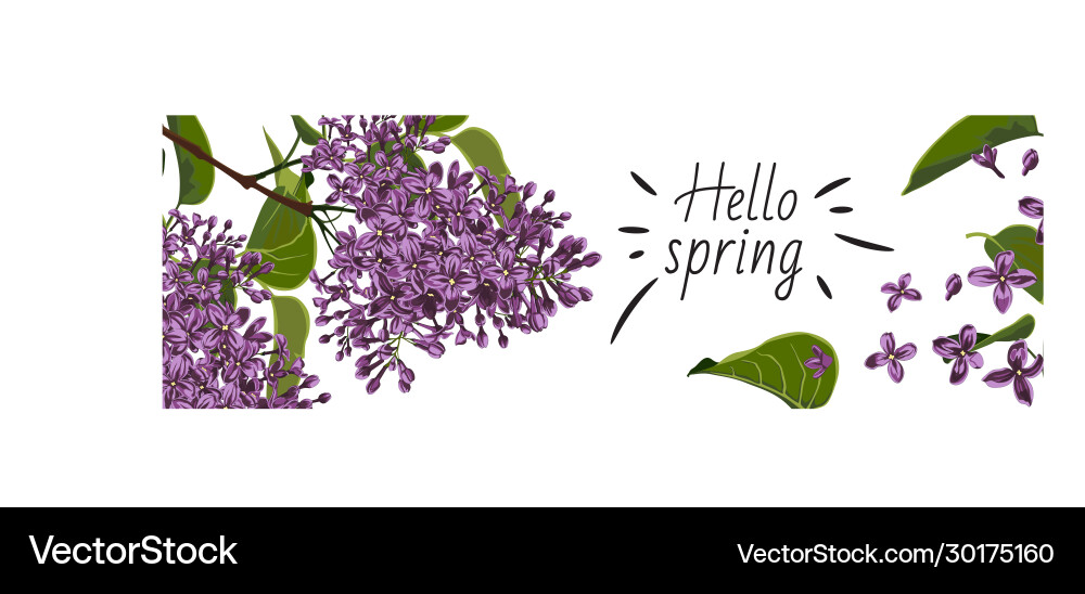 Web banners with purple lilac flowers Royalty Free Vector
