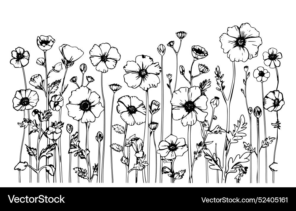 Hand drawn wildflowers set in realistic style Vector Image