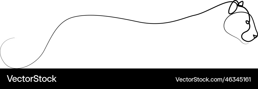 Puma or lioness abstract continuous line drawing Vector Image
