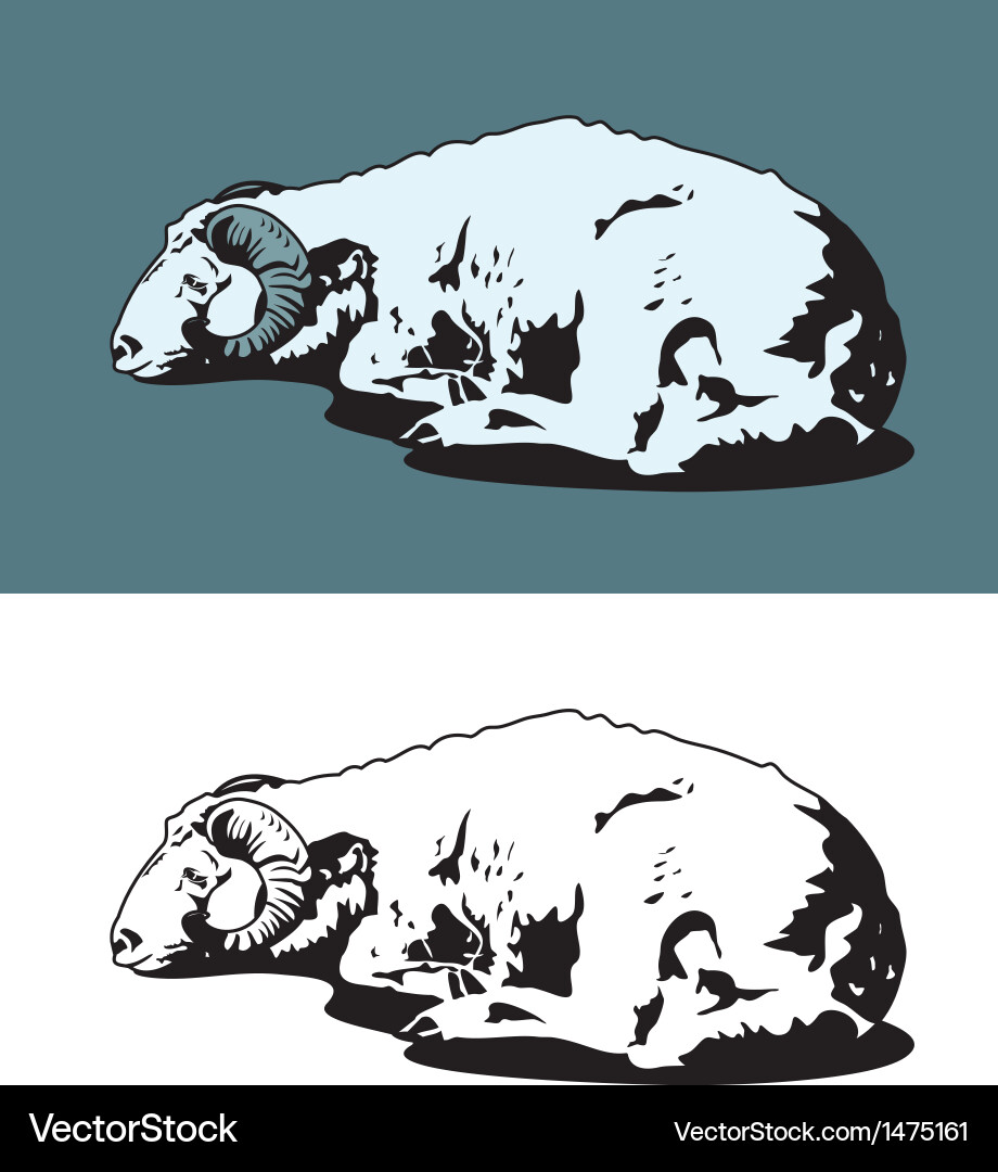 Sheep Royalty Free Vector Image - VectorStock