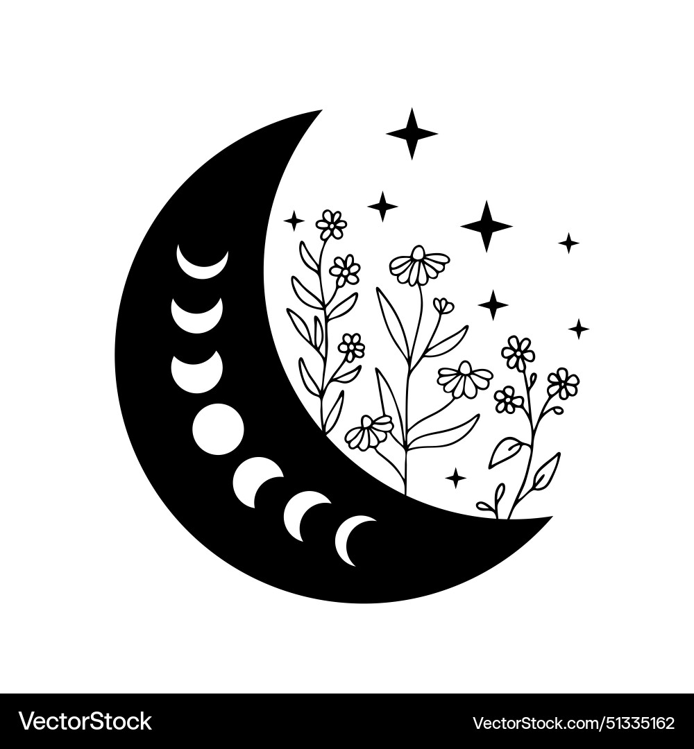 Crescent moon with phases and wild flowers Vector Image