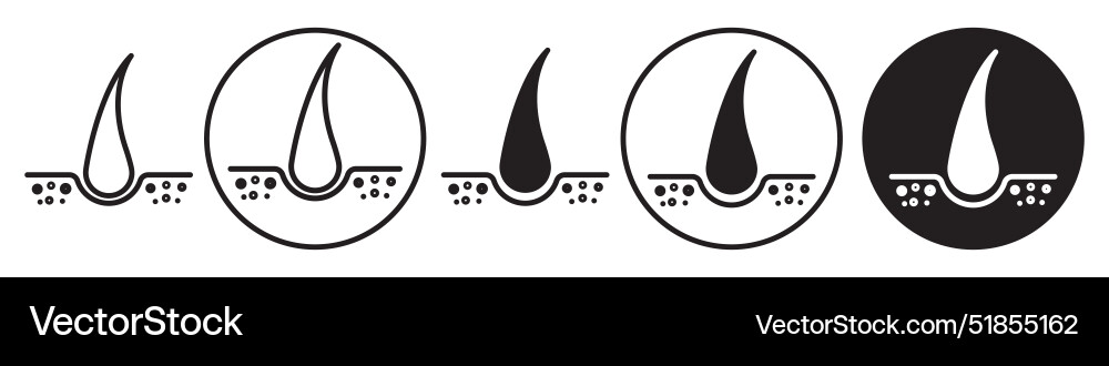 Hair icon set collection for web Royalty Free Vector Image