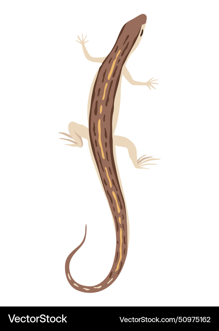 Lizard icon tropical colorful decorative Vector Image