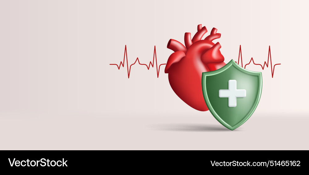 Realistic heart with shield icon and beat Vector Image
