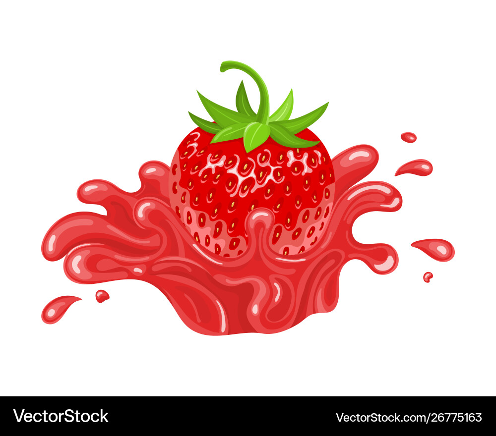 Red fresh realistic strawberry with juice splash Vector Image