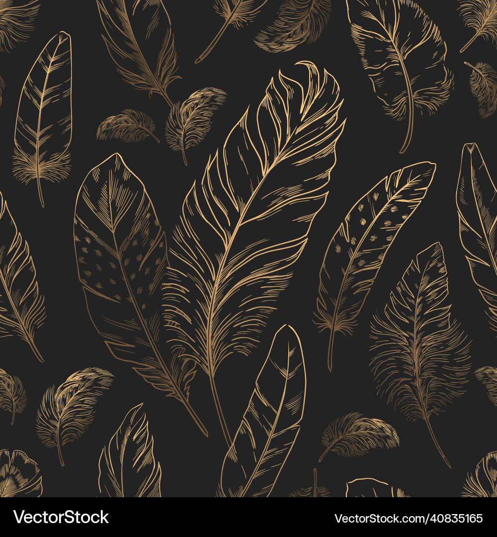 Golden Peacock Feather Vector Images (over 330)