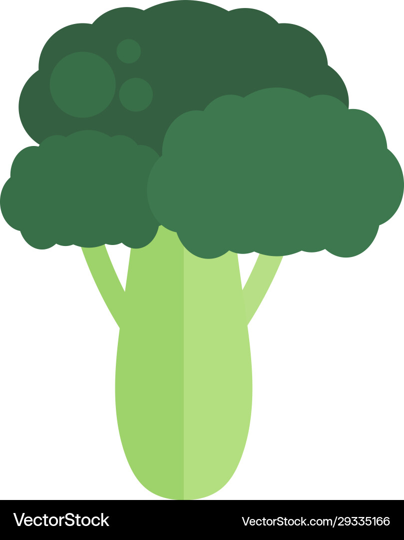 Flat a broccoli Royalty Free Vector Image - VectorStock