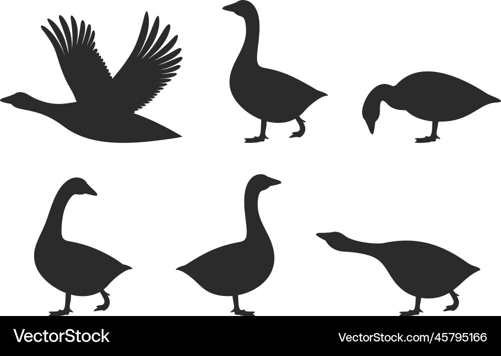 Goose Royalty Free Vector Image - VectorStock