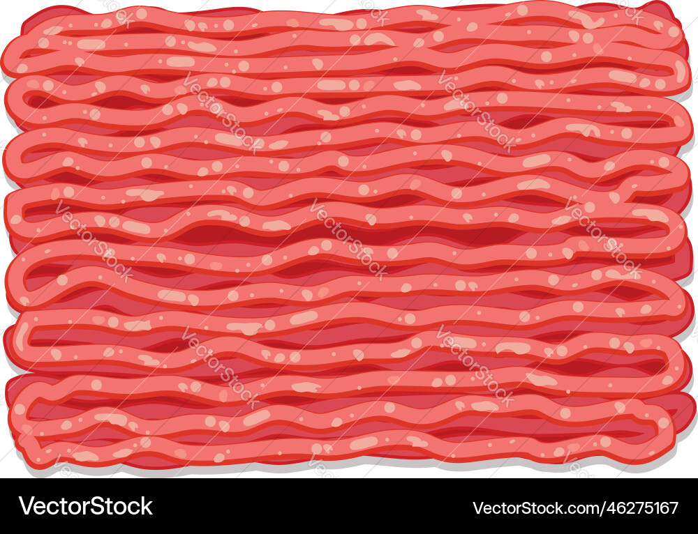 Minced meat ground raw Royalty Free Vector Image