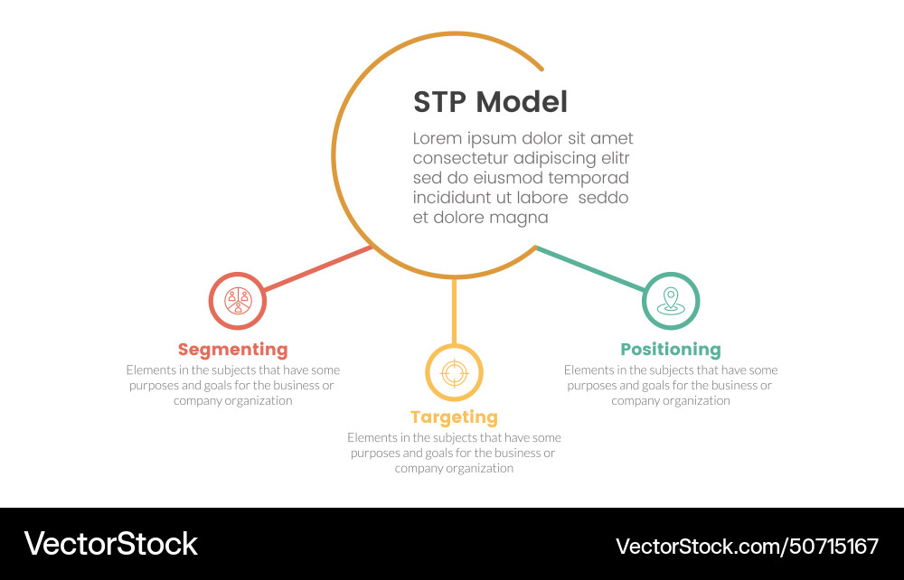 Stp marketing strategy model for segmentation Vector Image
