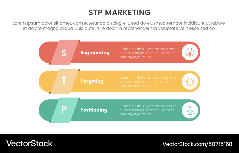Stp marketing strategy model for segmentation Vector Image