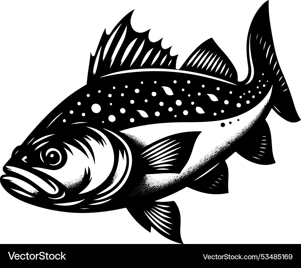 Cod fish silhouette Royalty Free Vector Image - VectorStock