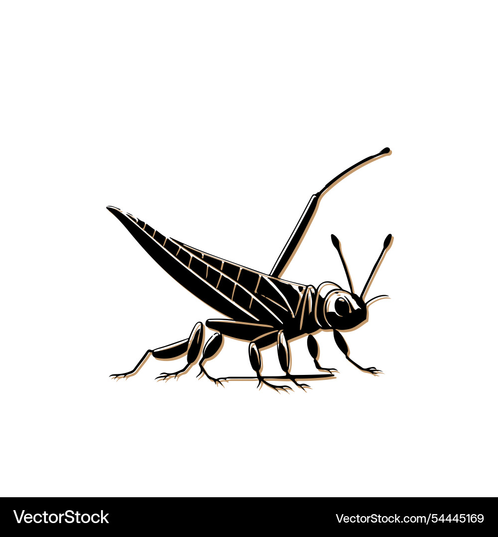 Grasshopper Silhouette Insect Design Concept Vector Image