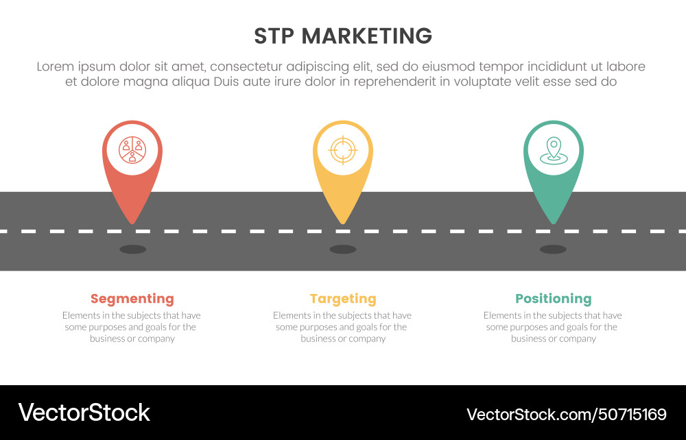 Stp marketing strategy model for segmentation Vector Image
