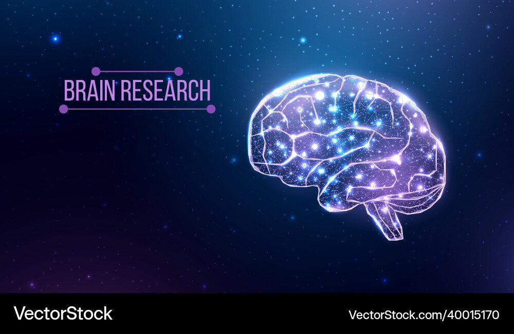 Human brain research Royalty Free Vector Image