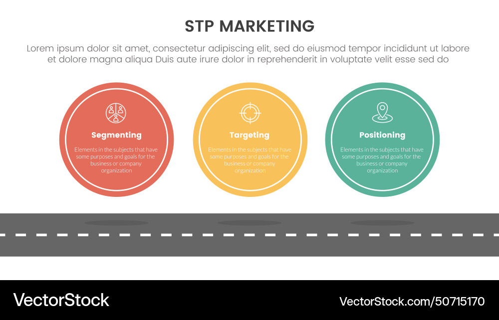 Stp marketing strategy model for segmentation Vector Image