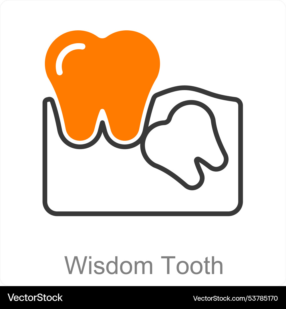 Wisdom tooth Royalty Free Vector Image - VectorStock