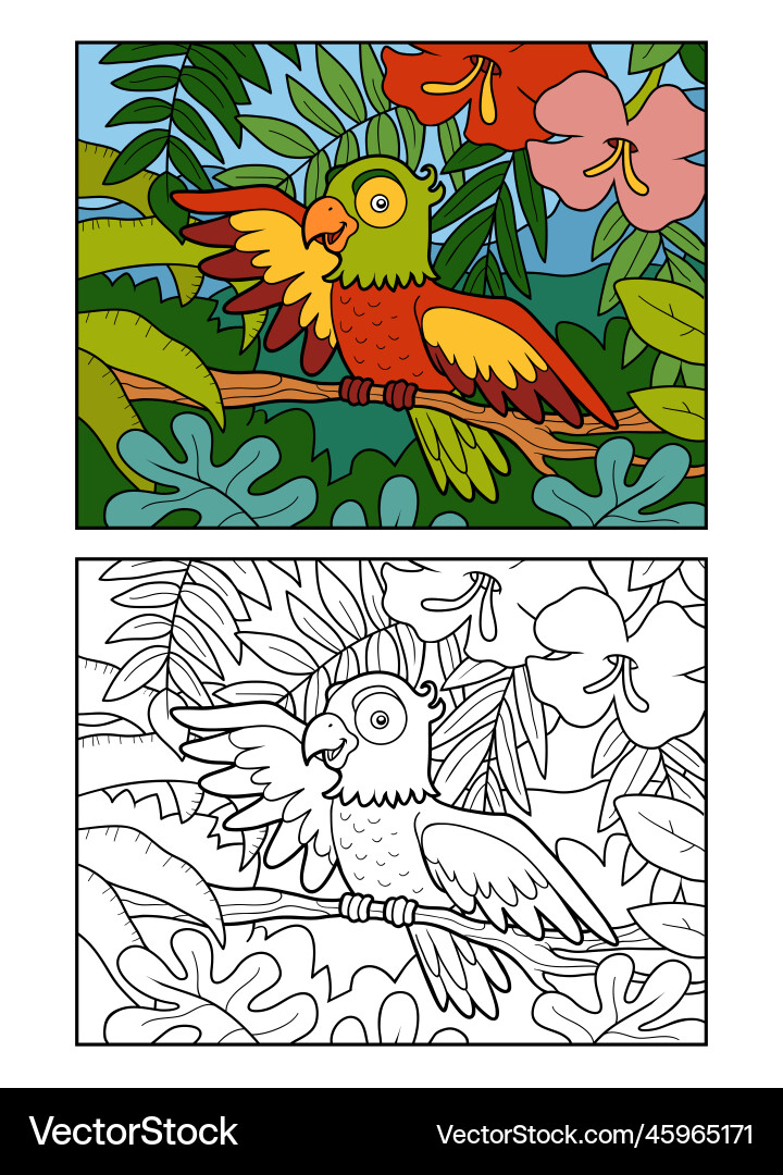 Coloring book for children parrot Royalty Free Vector Image