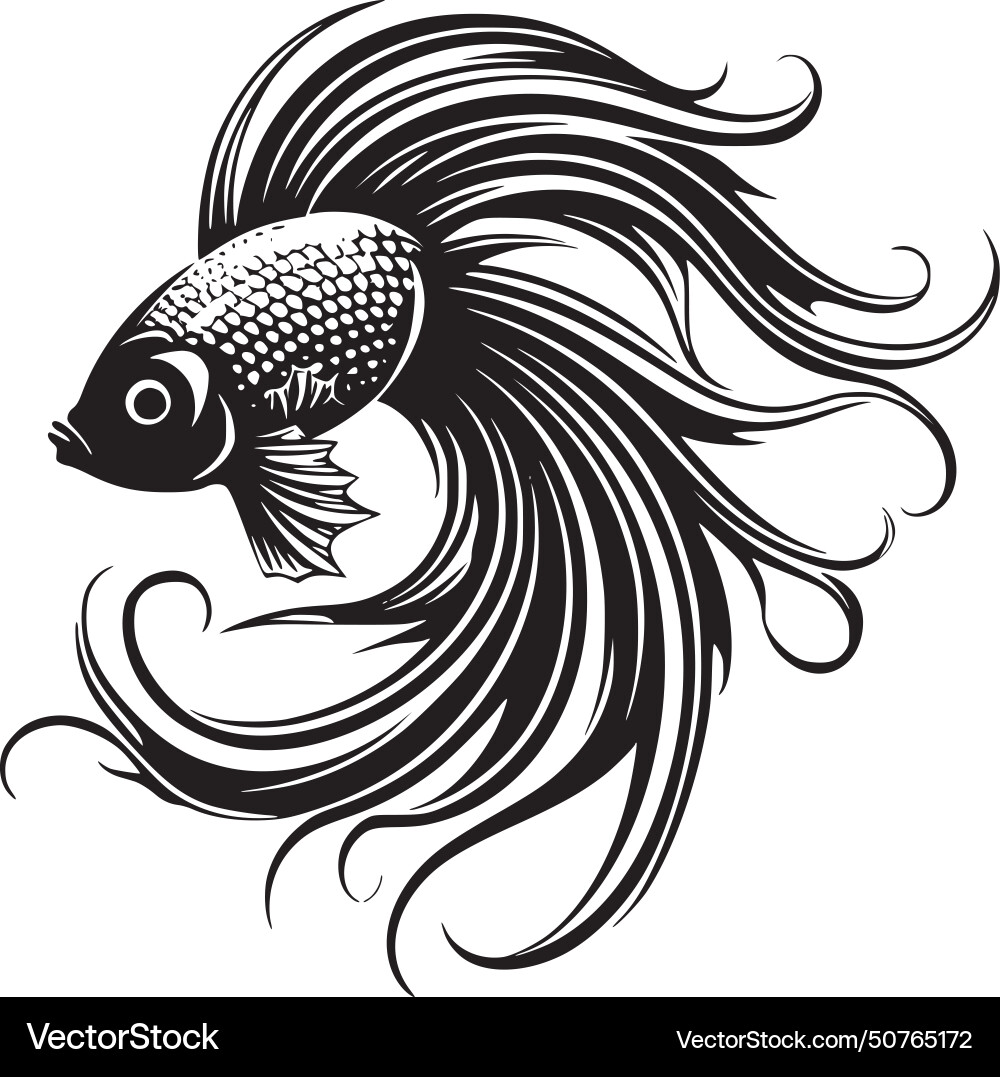 Betta fish - black and white Royalty Free Vector Image
