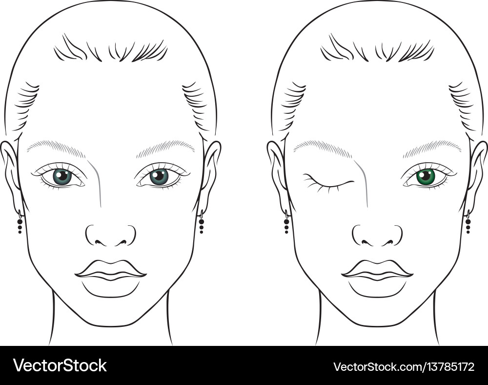 Face chart woman Royalty Free Vector Image - VectorStock