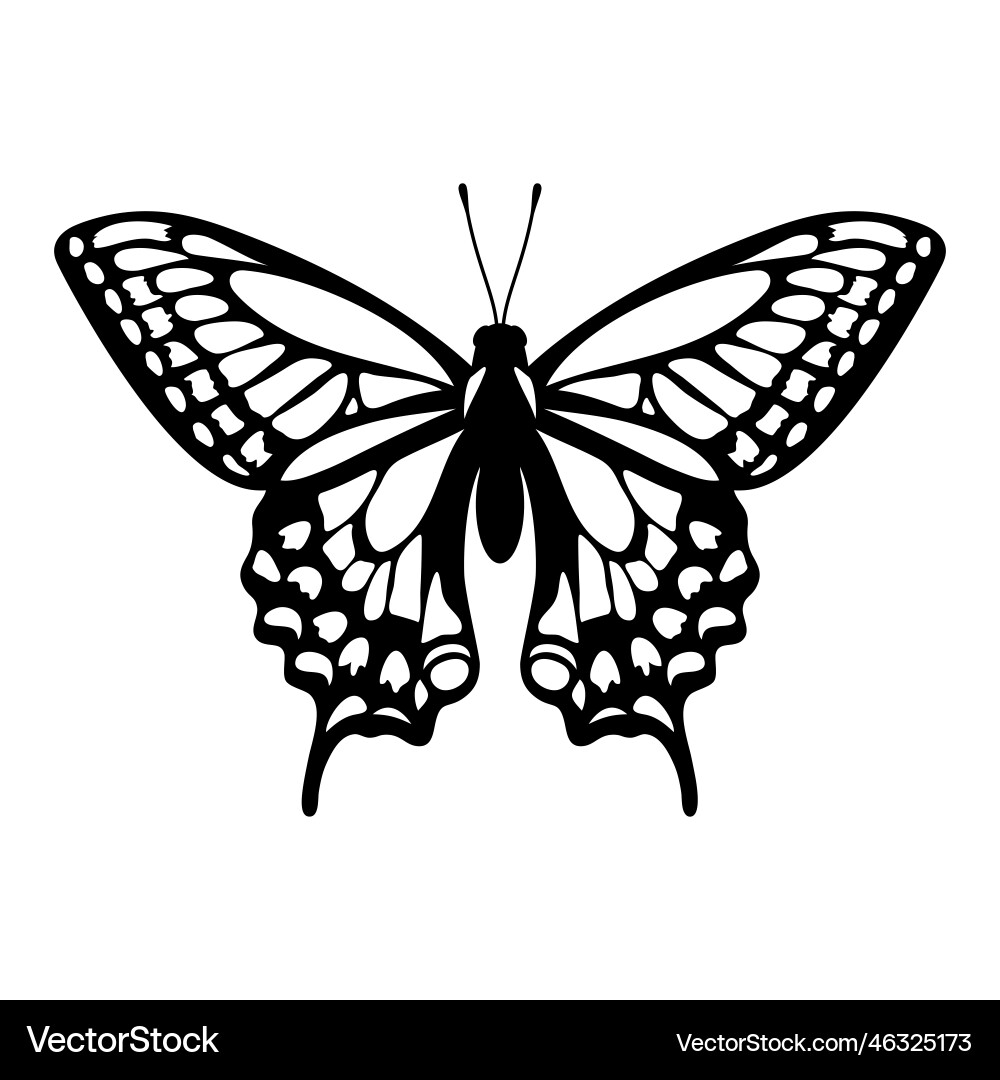 Stencils Of Butterflies