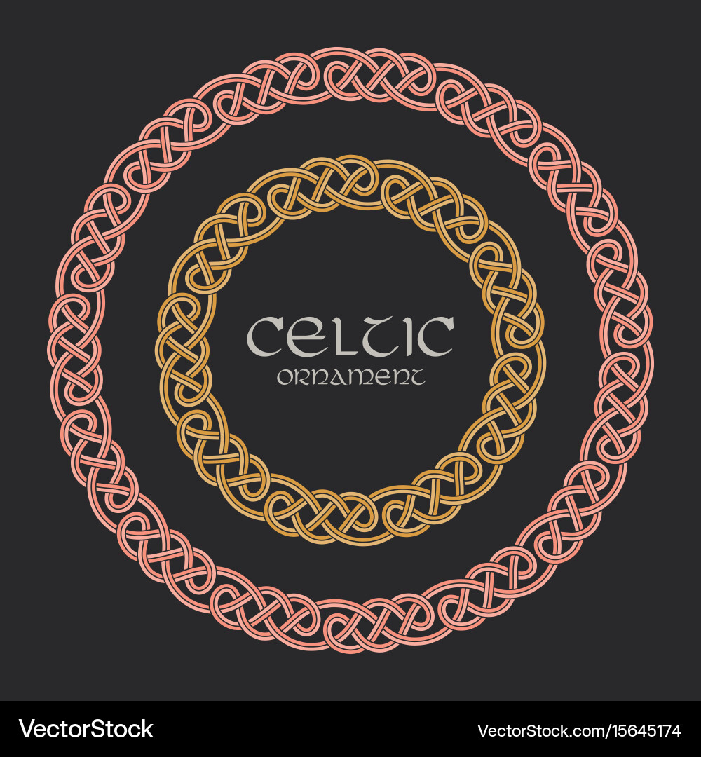 Celtic knot braided frame border circle ornament Vector Image