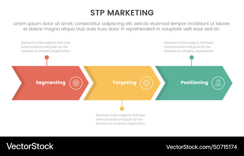 Stp marketing strategy model for segmentation Vector Image