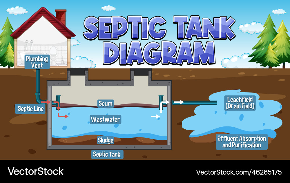 Septic tank system diagram Royalty Free Vector Image