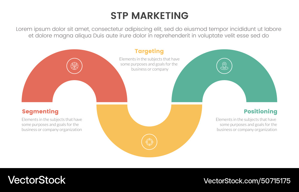 Stp marketing strategy model for segmentation Vector Image