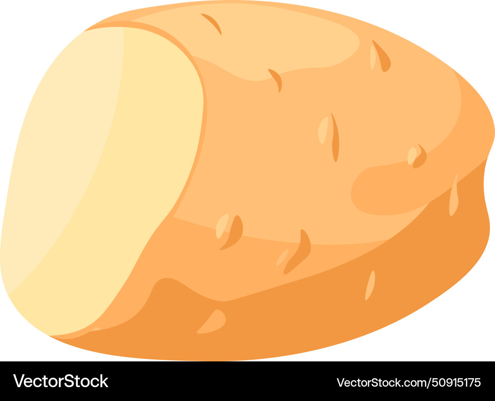 Whole potato cut for cooking preparing dishes Vector Image
