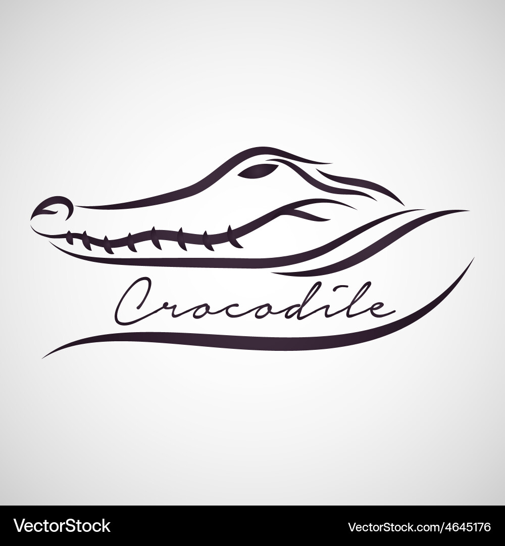 Crocodile Royalty Free Vector Image - VectorStock