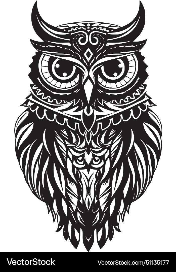 Elegant Owl Portrait Royalty Free Vector Image