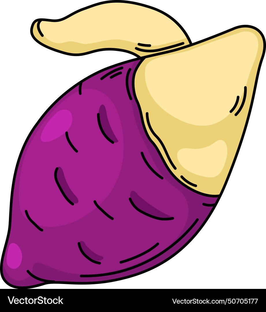 Yam outline white on background Royalty Free Vector Image