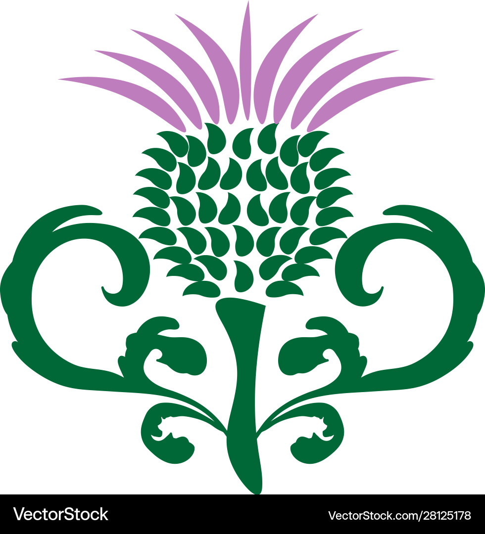 Elegant Thistle Floral Motif Royalty Free Vector Image