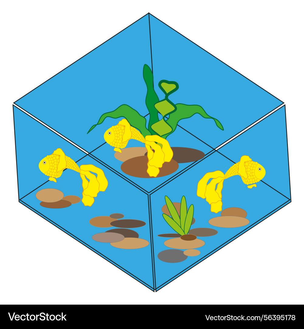 Isometric aquarium with goldfish plants and Vector Image