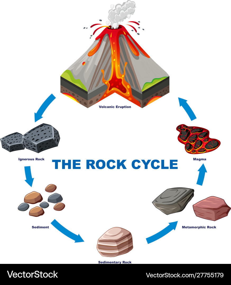 Diagram showing rock cycle Royalty Free Vector Image